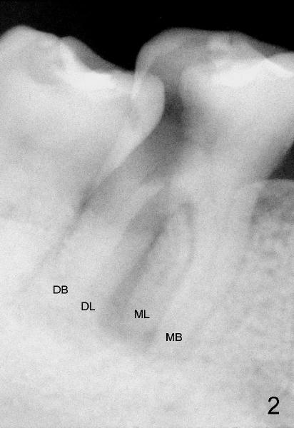 dental-education-lecture